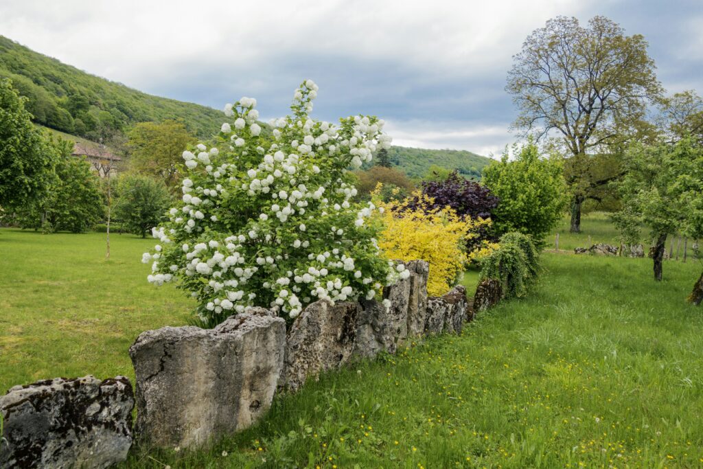 Countryside Secrets: Where Time Stands Still and Beauty Blooms | Jeff ...